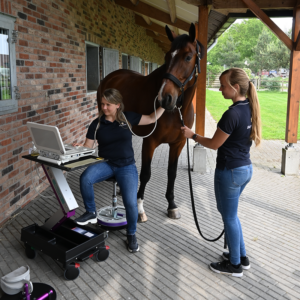 SCANdroid Veterinary Scan Stool - Veterinary Stool Podoblock USA