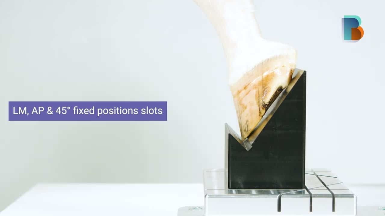Podoblock - Equine Hoof positioning Block for LM/AP X-rays - Podoblock USA