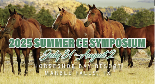 TEVA 2025 Summer CE Symposium - Podoblock USA