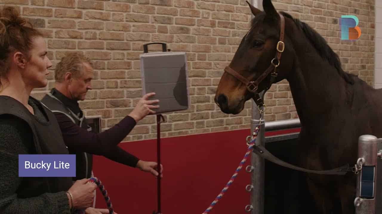 Tools to make the work of veterinarians easier - Podoblock USA